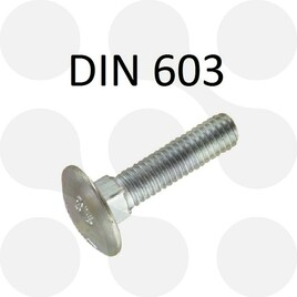 Flachrundschrauben • mit Vierkantansatz • DIN 603 online kaufen